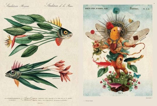 The Art of Collage: Descubriendo el Collage contemporáneo